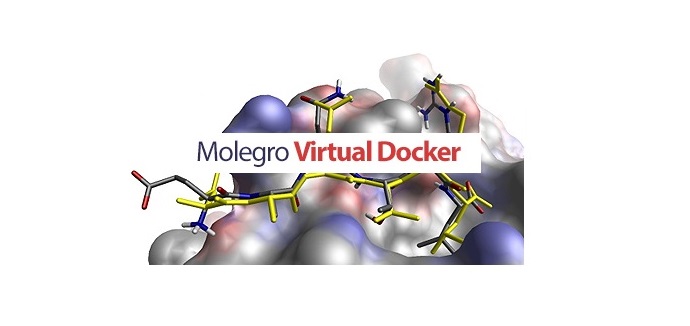 Molegro Virtual Docker Software - LAMMPS Tube
